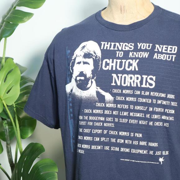 American Vintage | Shirts | Vintage Things You Need To Know About Chuck ...